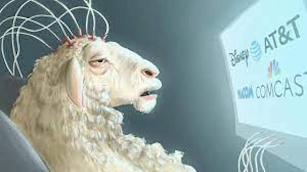 Sheep No More – Dilara Esengil